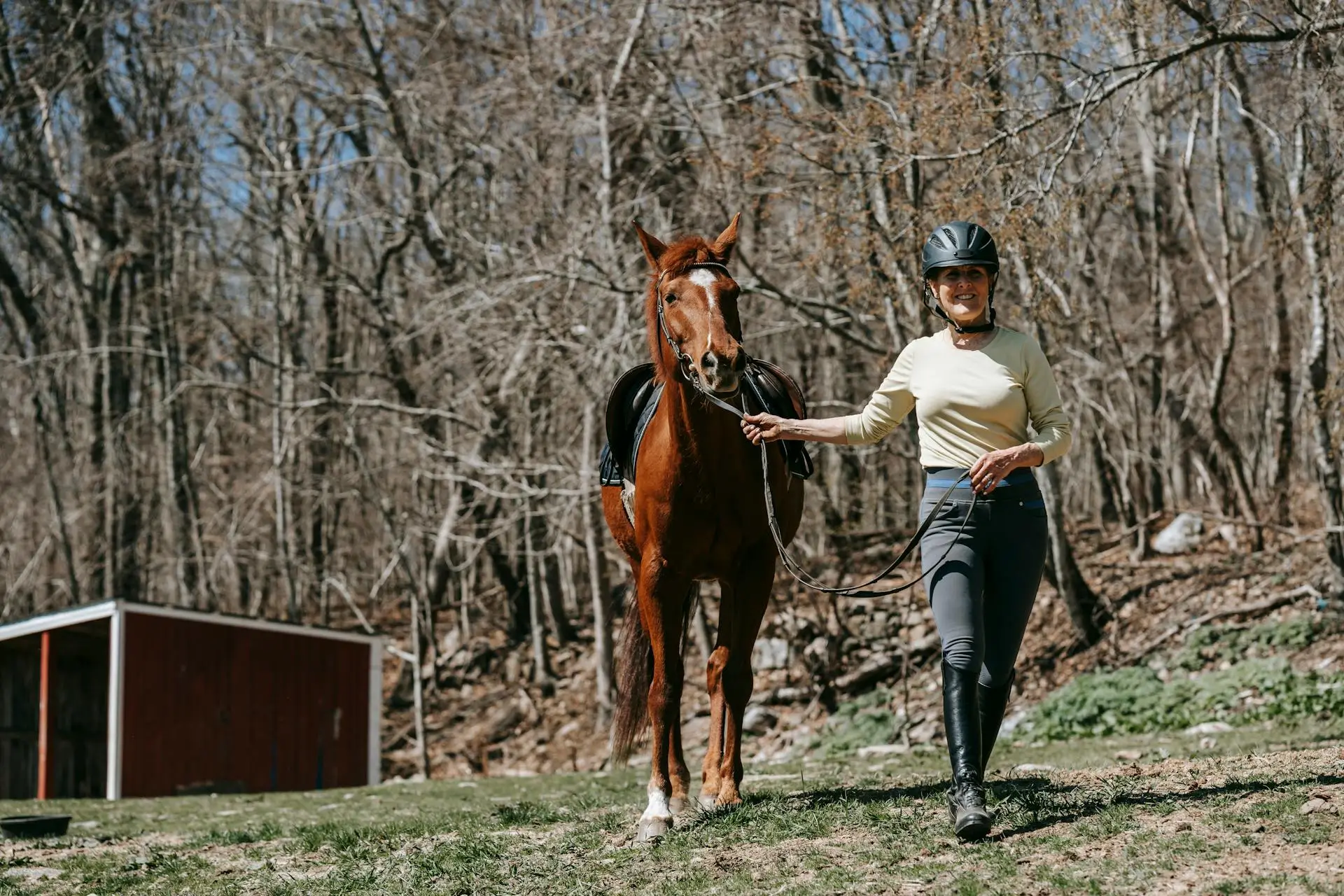 Horse Lunging Explained: Purpose, Benefits, and How to Lunge Your Horse